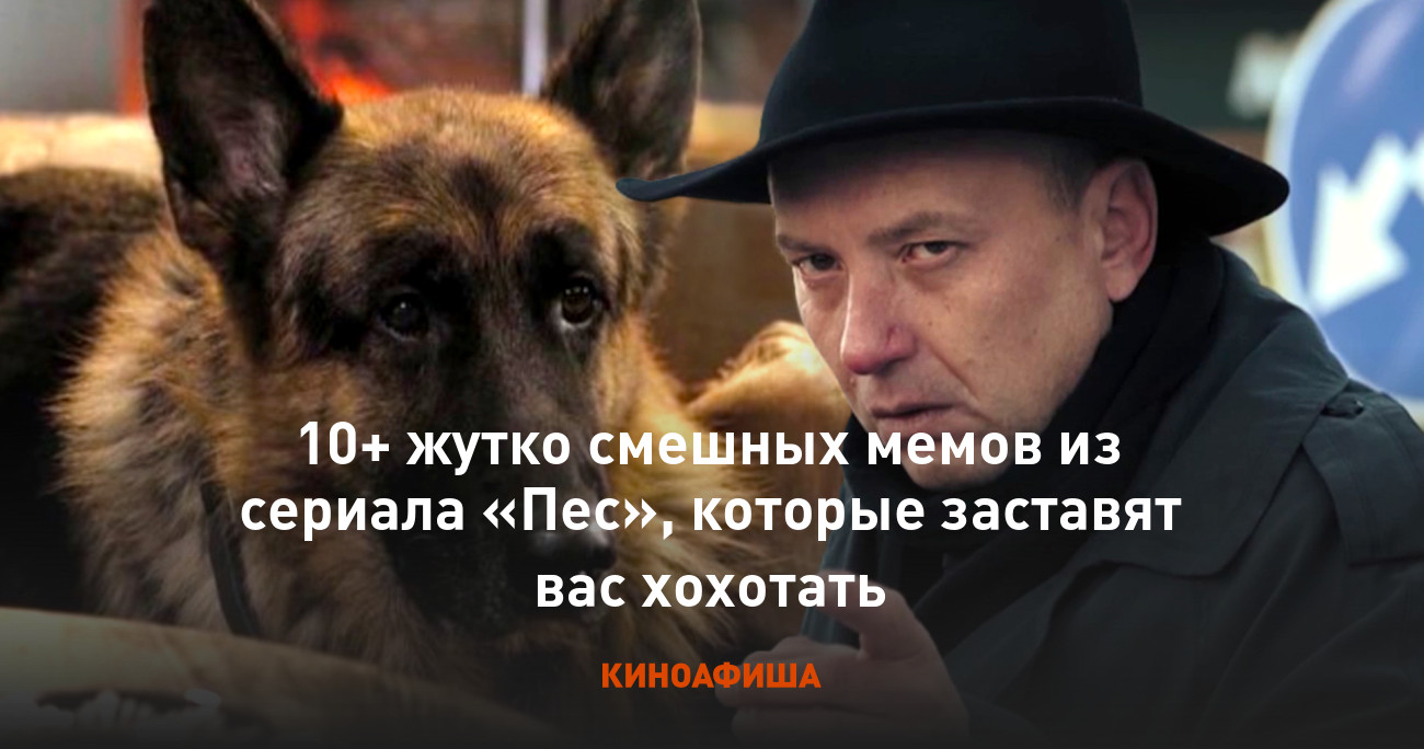 10 жутко смешных мемов из сериала «Пес которые заставят вас хохотать
